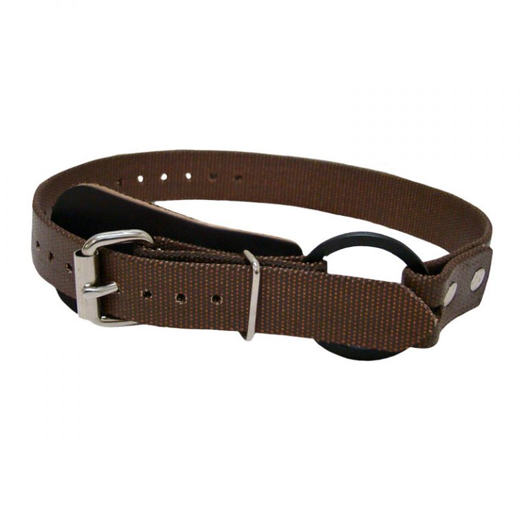 Buckingham Bottom Straps (Pair) - Honey Brothers