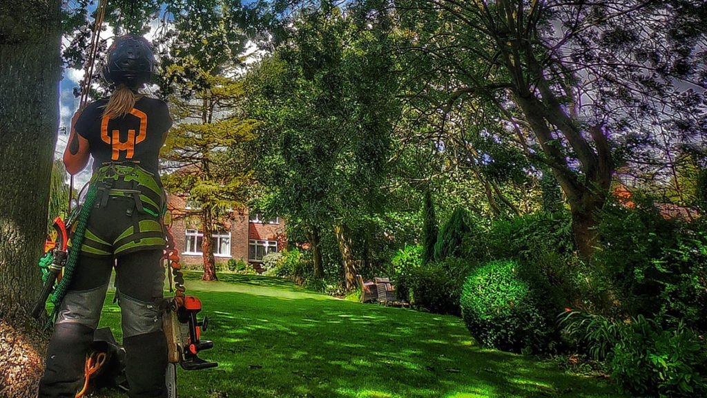 HB Merchandise Archives - Honey Brothers