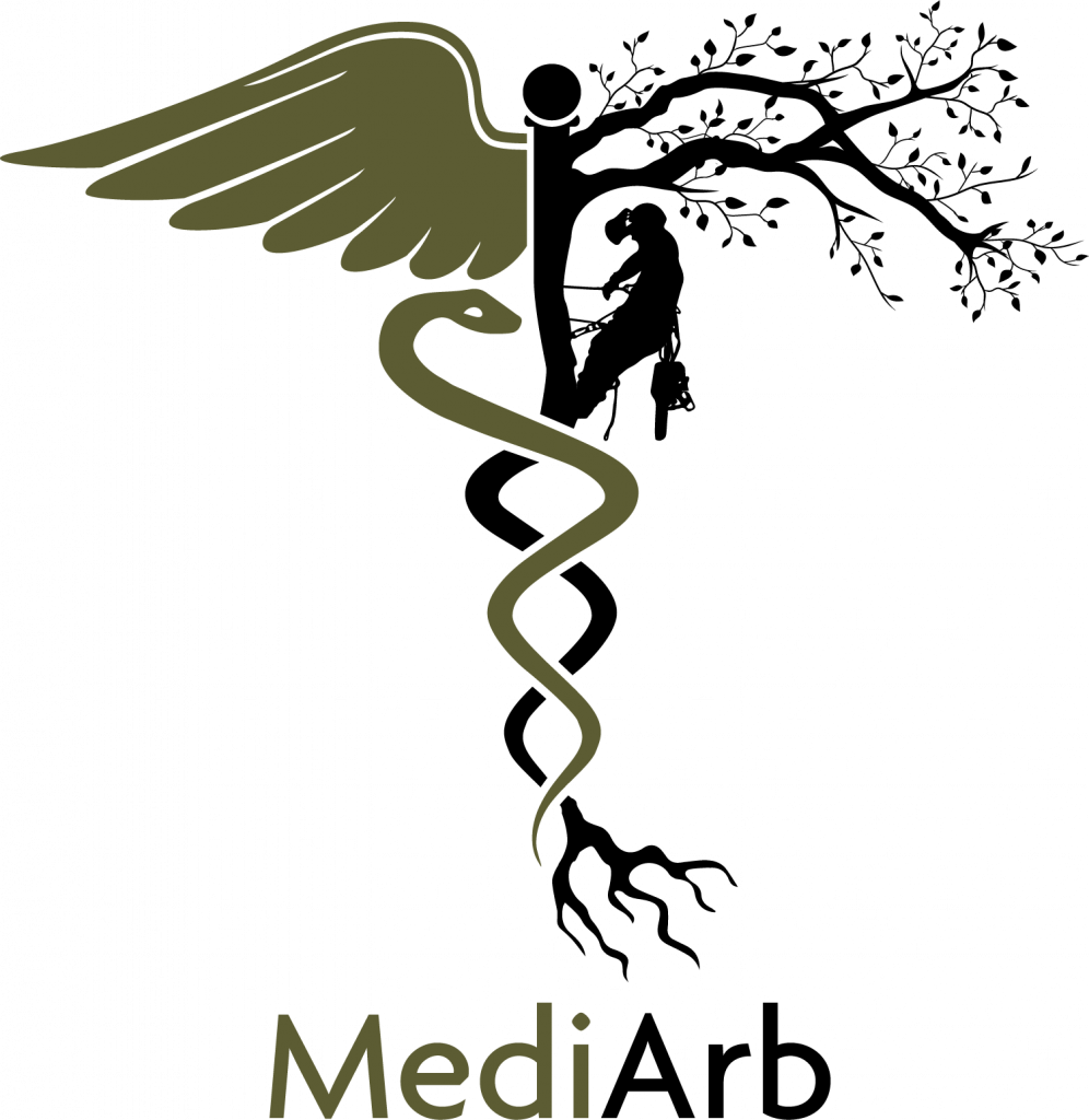 Mediarb - Arborist First Aid Course (Peasmarsh Location) - Honey Brothers