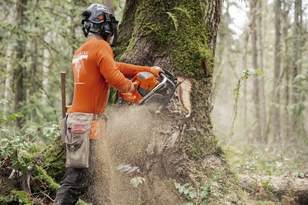 Husqvarna 592 XP Petrol Chainsaw - Honey Brothers