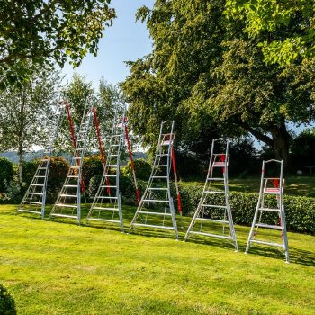 Henchman PRO Fully Adjustable Tripod Ladder - Honey Brothers