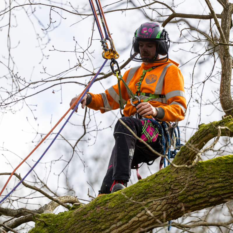 SIP Protection Canopy AIR-PUNK Chainsaw Trousers
